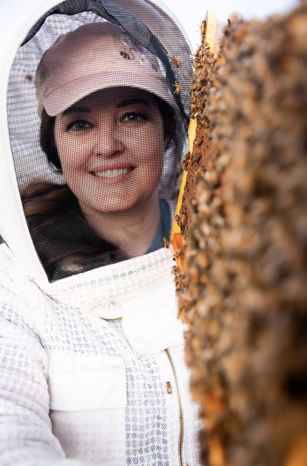 Contact a Master Beekeeper! - Texas Master Beekeeper Program